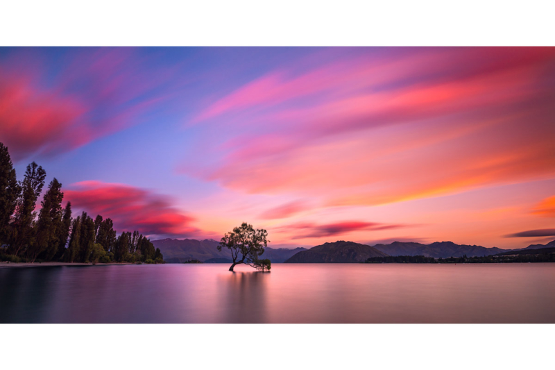 That Wanaka Tree – Daniel Murray Photography – New Zealand Landscapes ...